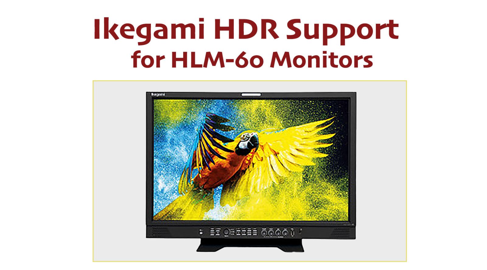 The Guild of Television Camera Professionals : Ikegami announce HDR Support - GTC | The Guild of ...
